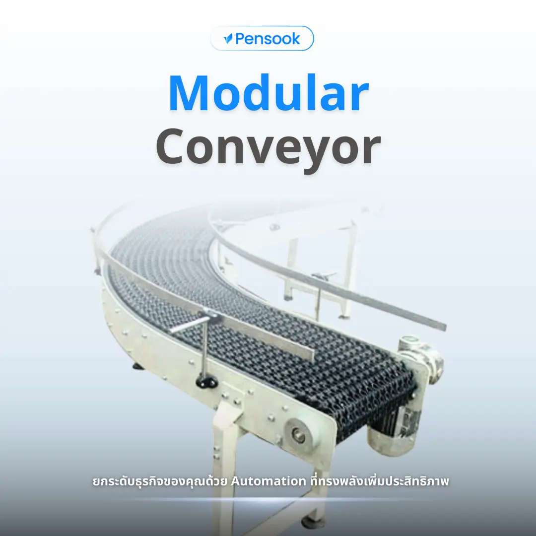 Modular Conveyor สำหรับการขนส่งอัตโนมัติ | Pensook
